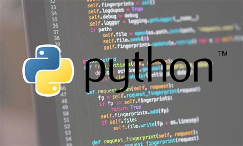 Do Your Simple Python Project By Tashigawa Fiverr