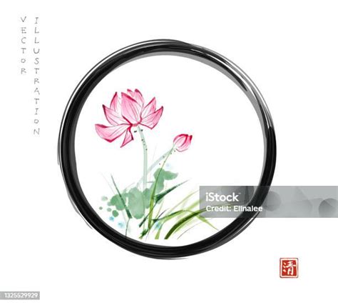 흰색 배경에 검은 엔소 선 원에 연꽃 전통적인 동양 잉크 페인팅 스미e U죄 고화 상형 문자의 번역 선명도 0명에 대한 스톡 벡터 아트 및 기타 이미지 Istock