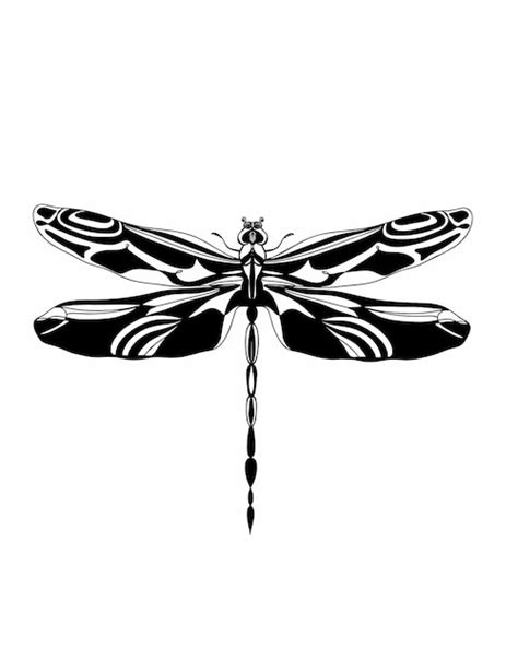 손으로 그린 잠자리 흰색 배경에 고립 프리미엄 벡터