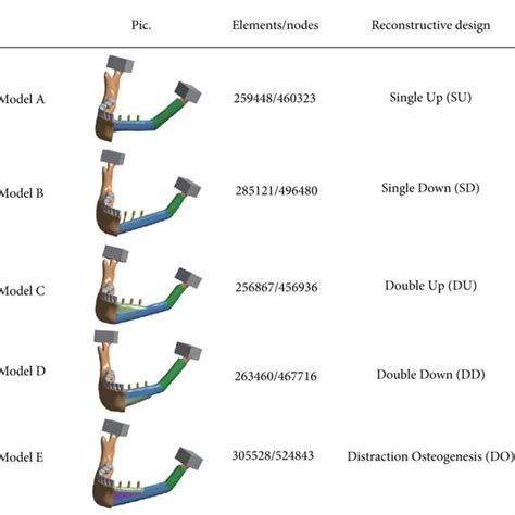 fe models and the number of nodes and elements of fe models download