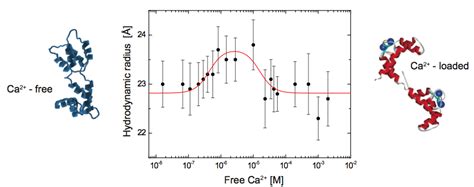 Dual Focus Fluorescence Correlation Spectroscopy 2ffcs Picoquant