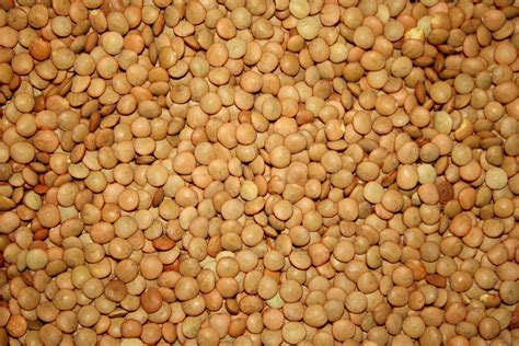 Lentils Wallpapers Wallpaper Cave