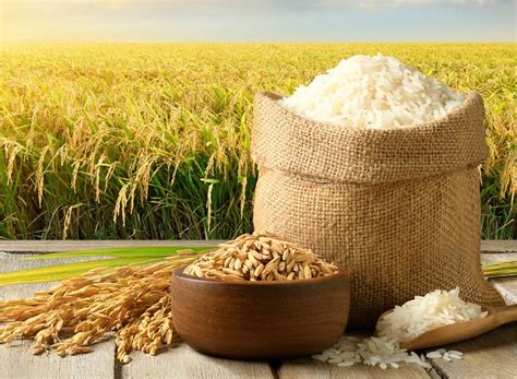 Thóc Gạo Hành Trình Từ Cánh Đồng Đến Thương Hiệu Gạo Việt
