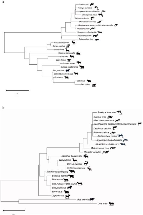 Figure 1 From Codon Bias Of The Ddr1 Gene And Transcription Factor Ehf
