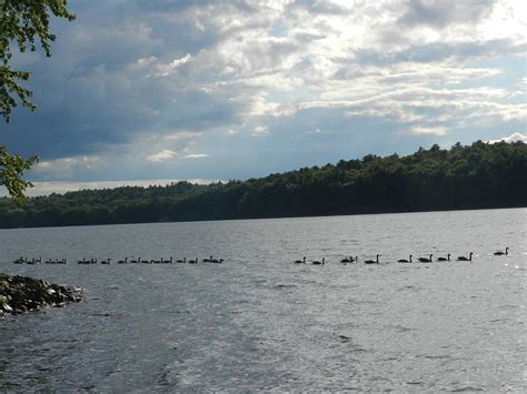 Follow Me Photograph By Haley Ackerman Fine Art America