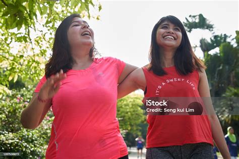공공 공원에서 함께 걷는 행복한 미소 자신감 혼합 인종 여성 25 29세에 대한 스톡 사진 및 기타 이미지 25 29세 2