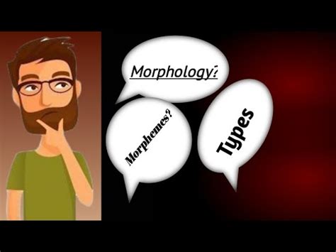 Morphology In Language Understanding Different Types Relationship With Other Linguistics