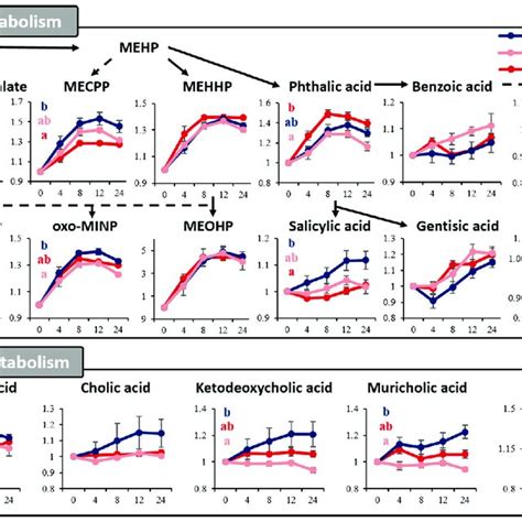 Metabolic Pathways In Rat Urine Influenced By The Single Administration Download Scientific