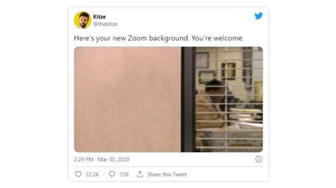 30 Funniest Zoom Memes To Brighten Your Next Virtual Meeting