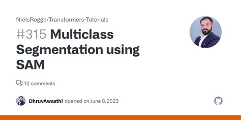 Multiclass Segmentation Using Sam · Issue 315 · Nielsrogge