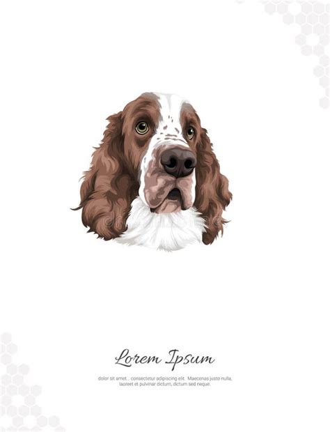 Cocker Spaniel Dog Breed Wall Decor Ideas Stock Vector Illustration