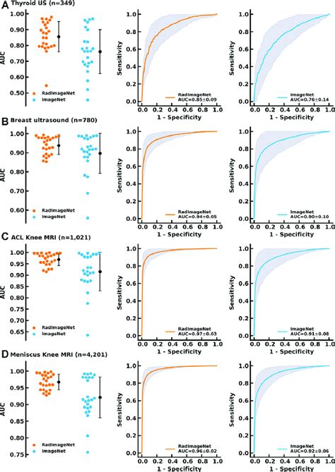 performance of the radimagenet pretrained models and imagenet