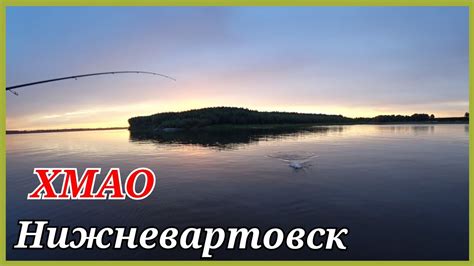 В поисках трофейной щуки. Как она выглядит в эхолоте. - YouTube