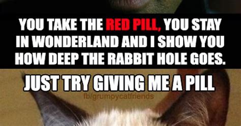 Grumpy Catrix Reloaded Imgur