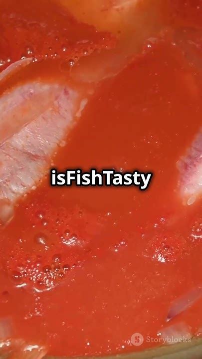 Mastering C Boolean Data Type Explain Youtube