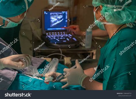 Doctor Doing Ankle Nerve Block Under Stock Photo 1288468753 Shutterstock