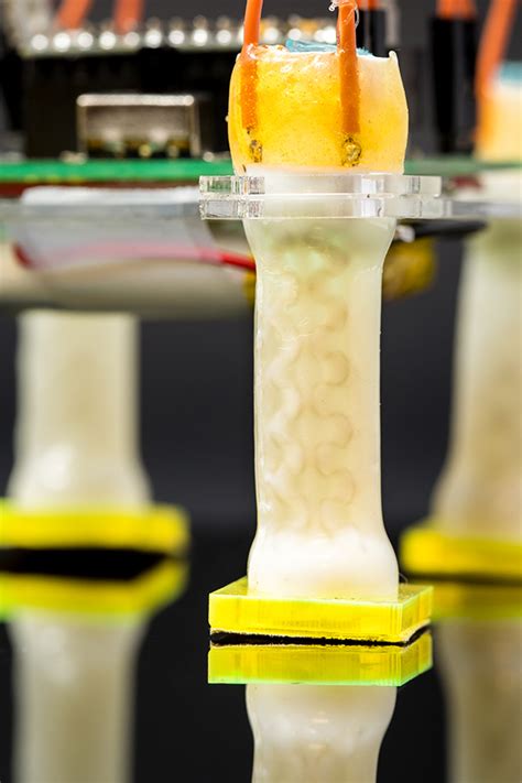Electrically Controlled Soft Actuators Could Make Soft Robots Less Bulky