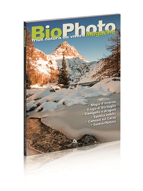 Daniele Marson Editore