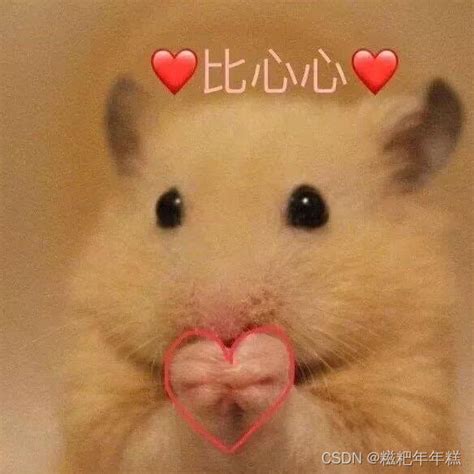 c语言编写matlab中的xcorr相关函数 csdn博客