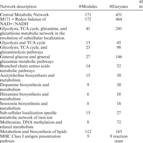 Reconstructed Metabolic Networks In Fluxestimator Download Scientific Diagram