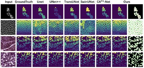 exemplary samples and their segmentation results using different