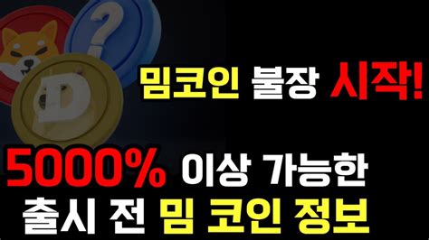 5000 이상 수익 볼 수 있는 비상장 밈 코인 정보 Puff 코인 Foxy 코인 Youtube