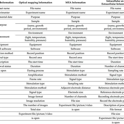 The Information Of Metadata An Example Table Download Table