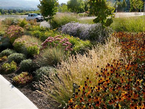 Ornamental Grass Garden Okanagan Xeriscape Association