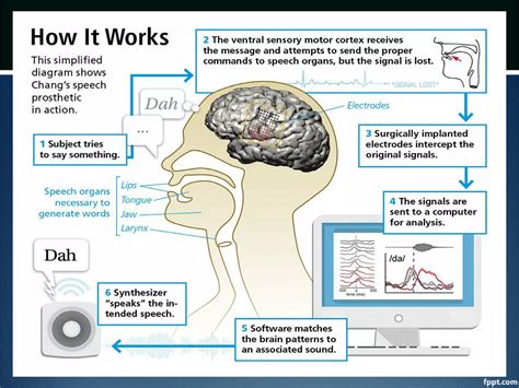 Brain Computer Interfaces PDF