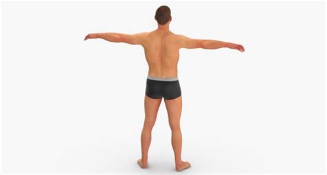 Male Human Body T Pose Modelo 3d Turbosquid 1559296