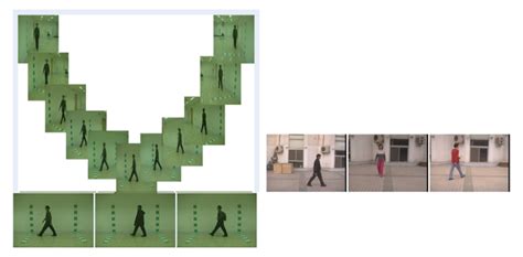 Gait Gender Classification