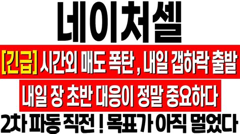 네이처셀 주가 전망 시간외 하락 내일 장 초반 대응이 중요하다 필수 시청 네이처셀 주식 분석 네이처셀 조인트스템 줄기세포 네이처셀 강경윤 라정찬 Youtube