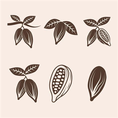 Cocoa Icon Set Cocoa Beans Leaves Isolated On White Background Vector Art At Vecteezy