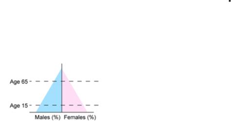 Psyc Flashcards Quizlet
