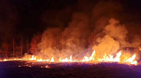 Zeci De Incendii De Vegetație în Vestul țării Pompierii Trag Un Nou