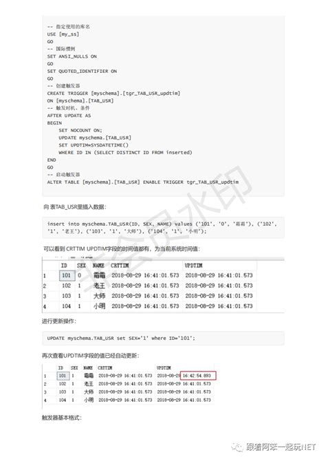 sql server数据库类型—时间戳 timestamp 墨天轮