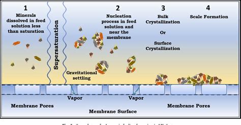 Figure 1 From Fouling Mitigation Strategies For Different Foulants In