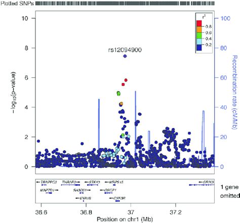 Regional Association Plot For Chromosome 1p343 Joint Analysis