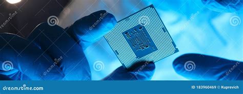 Hands In Gloves Hold Chip Testing Microelectronics Stock Image Image