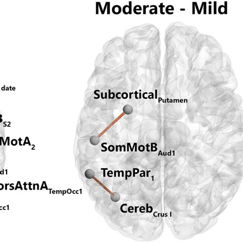 Patterns Of Significantly Different Functional Connectivity In The