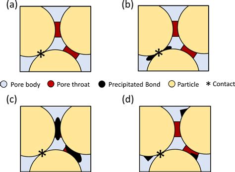 Illustration Of Active And Inactive Bonds A A Schematic Of Particle Download Scientific