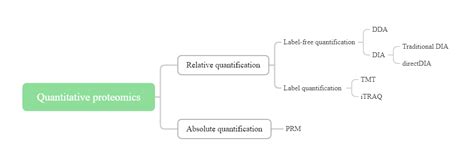 Protein Quantification Analysis Service Mtoz Biolabs