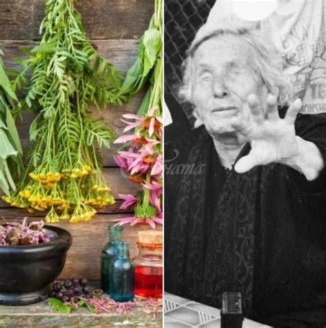 Рецептите на Баба Ванга с билки за дископатия диабет дебело черво За Жената