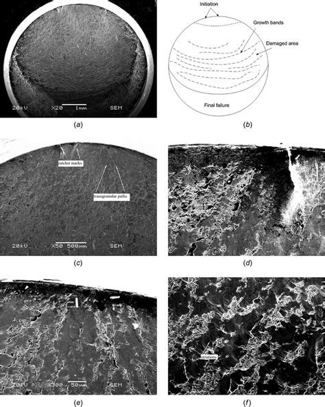 Sem Micrographs Showing The Fatigue Fracture Surface Of The As Received Download Scientific