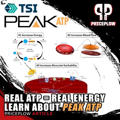 Spoken Aminos Atp High Dose Eaas Enhanced With Peak Atp