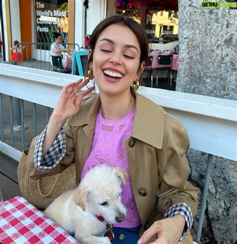 Nora Zehetner Wiki Biography Age Gallery Spouse And More