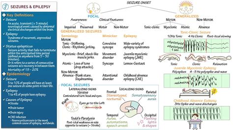 Types Of Seizures