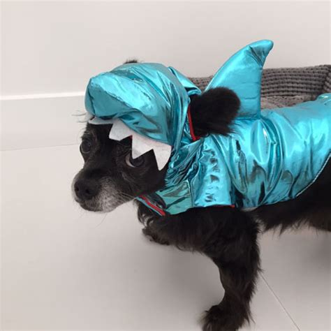 Dlisted Not A Dry Cumberbitch In The House Benedict Cumberbatch