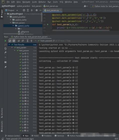pytest参数化用例详解：装饰器、多参数与中文重命名 csdn博客