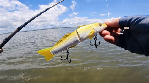 Glide Bait Underwater At Randy Thiessen Blog
